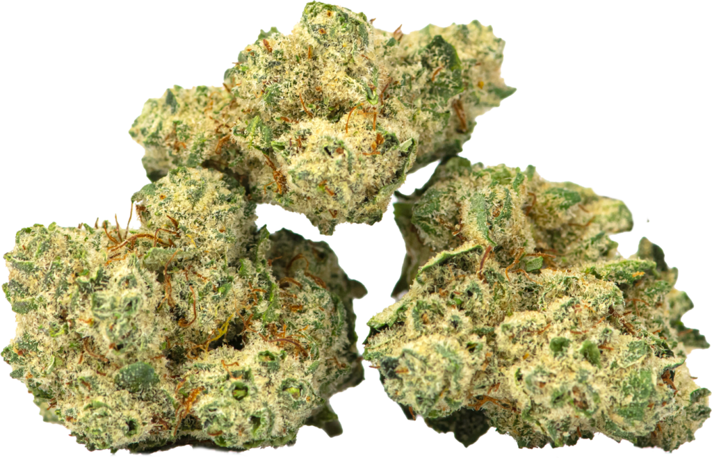 Burmese Kush - Zen Leaf Dispensaries